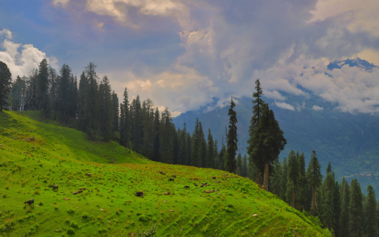 15 Breathtaking Nature Places in India to Visit in 2025