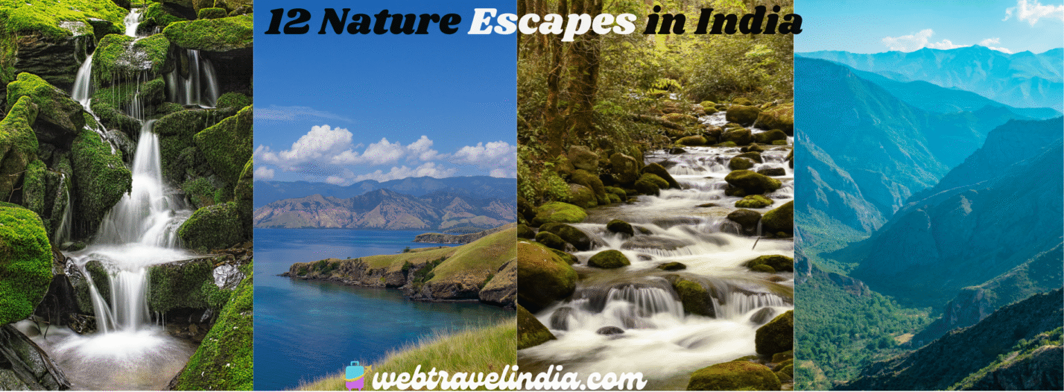 12 Stunning Nature Escapes in India to Visit in 2025